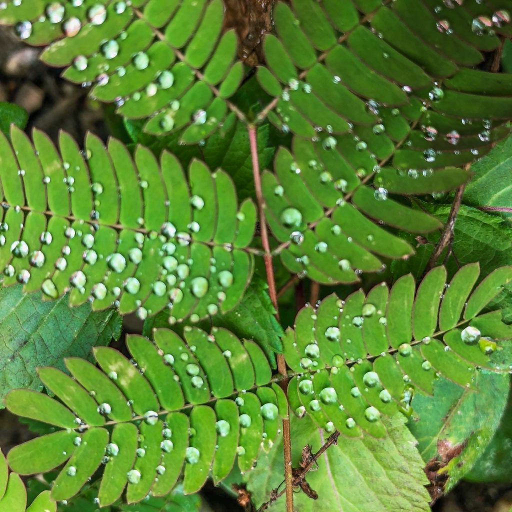 What We Do | Environmental Incentives