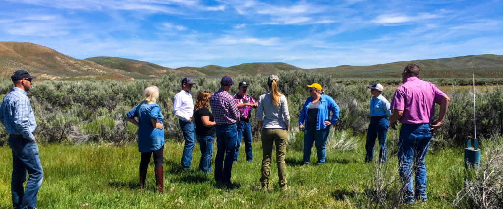 Work at EI | Environmental Incentives