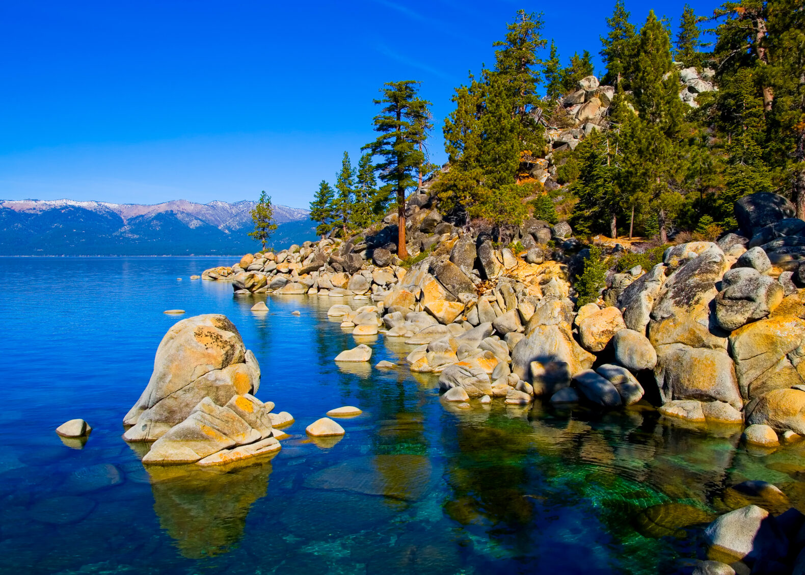 EI - Environmental Incentives