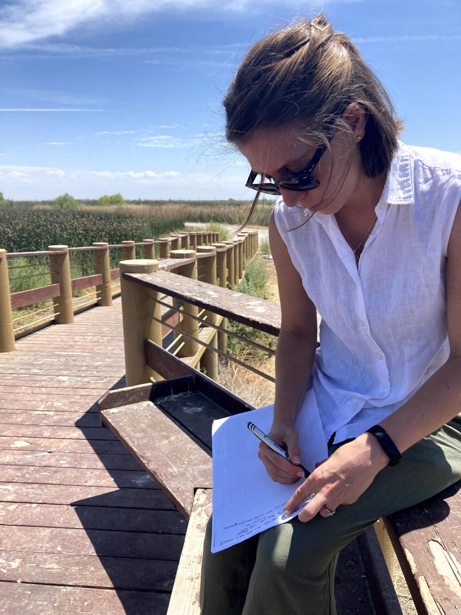 Regional Conservation Investment Strategies & Mitigation Credit Agreements | Environmental ...