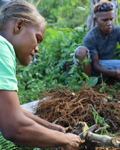 EI - Environmental Incentives